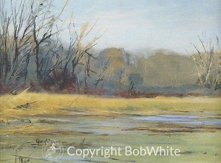 Hazy Marsh by Gary Moss - BobWhite Studio