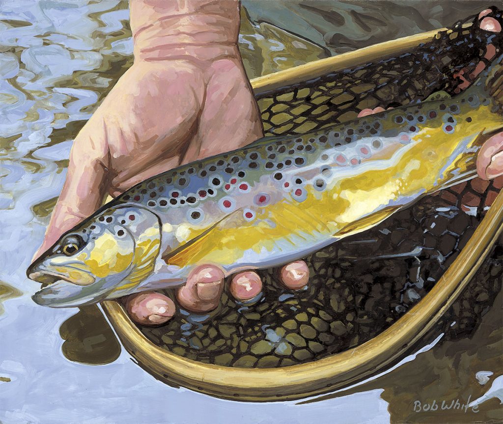 Small Fry - Brown Trout Print - BobWhite Studio