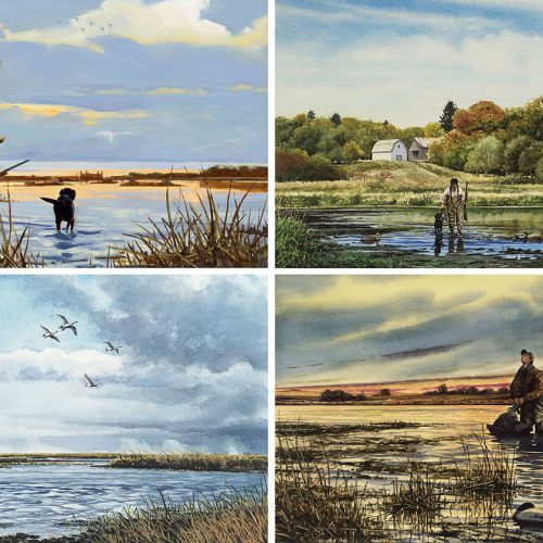 Waterfowl Note Cards Archives - BobWhite Studio