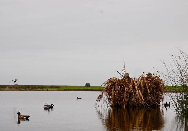 10 - Slippin' in - BobWhite Studio