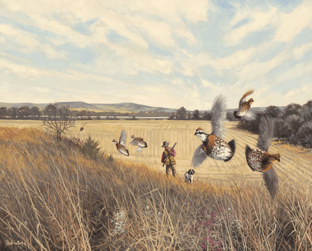 Hilltop Covey Rise Print - BobWhite Studio